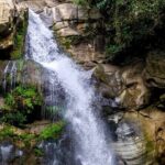 From kandy visit yala Saffari and drop mirissa one day - An In-Depth Look at the Tour Experience