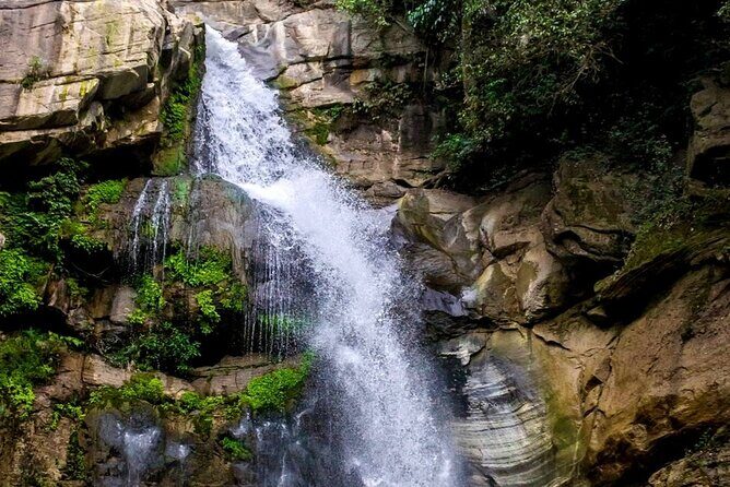 From kandy visit yala Saffari and drop mirissa one day - An In-Depth Look at the Tour Experience