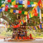 From Kathmandu: 1-Day Lumbini Tour by Airplane - Breaking Down the Itinerary: What You Can Expect