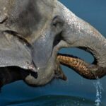 From Kathmandu: 3-Day Chitwan National Park Tour - What This Tour Means for You