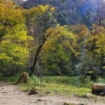 From Kathmandu: 5 Day Langtang Valley Nature Explore Trek - The Itinerary in Detail