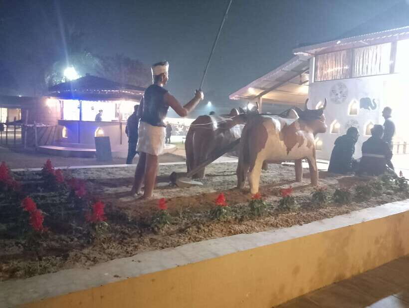 From Kathmandu or Pokhara: 4-Day Chitwan National Park Tour - What’s Included and What’s Not