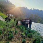 From Kathmandu: Patlekhet Permaculture Organic Farm Tour - Introduction: What to Expect from the Patlekhet Permaculture Farm Tour
