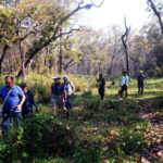 From Kathmandu/Pokhara: 2, 3, or 4-Day Chitwan Jungle Safari - Building on the Reviews: Authentic Highlights