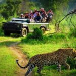 From Kathmandu/Pokhara: Private 3-Day Chitwan Safari Tour - Practical Details and Value