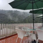 From Kuala Lumpur: Cameron Highlands Full-Day Tour - The Journey Begins: What to Expect