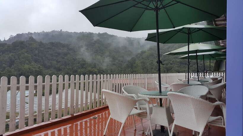 From Kuala Lumpur: Cameron Highlands Full-Day Tour - The Journey Begins: What to Expect