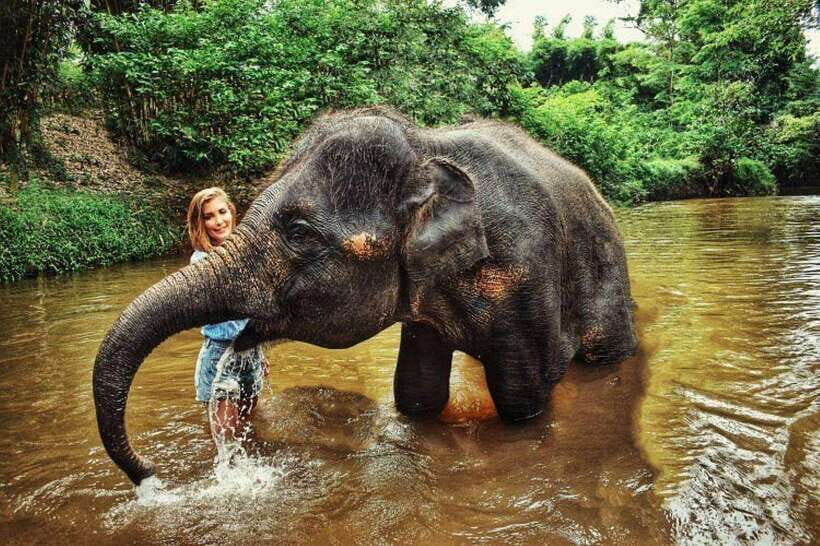 From Kuala Lumpur: Elephant Sanctuary Guided Tour - An In-Depth Look at What This Tour Offers
