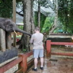 From Kuala Lumpur: Kuala Gandah & Batu Caves Day Trip - The Value of This Tour