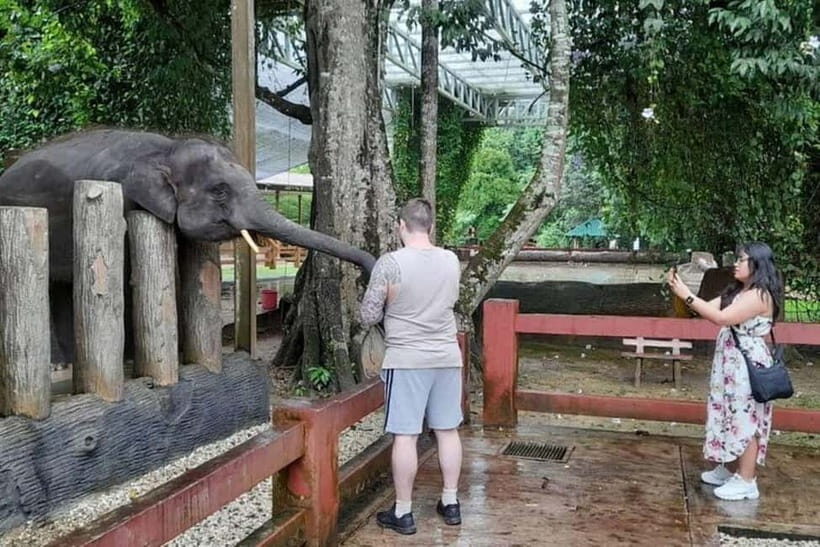 From Kuala Lumpur: Kuala Gandah & Batu Caves Day Trip - The Value of This Tour