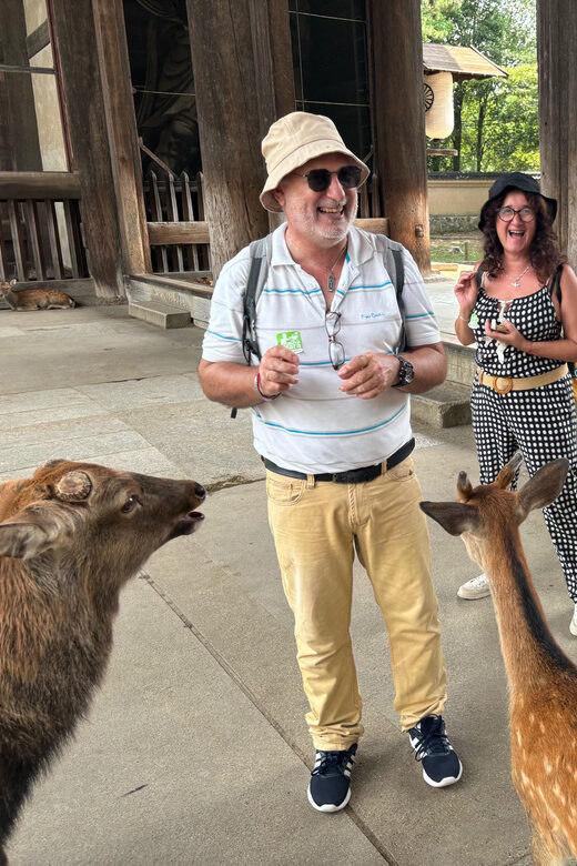 From Kyoto: Nara Guided Morning Tour - Value and Practicality