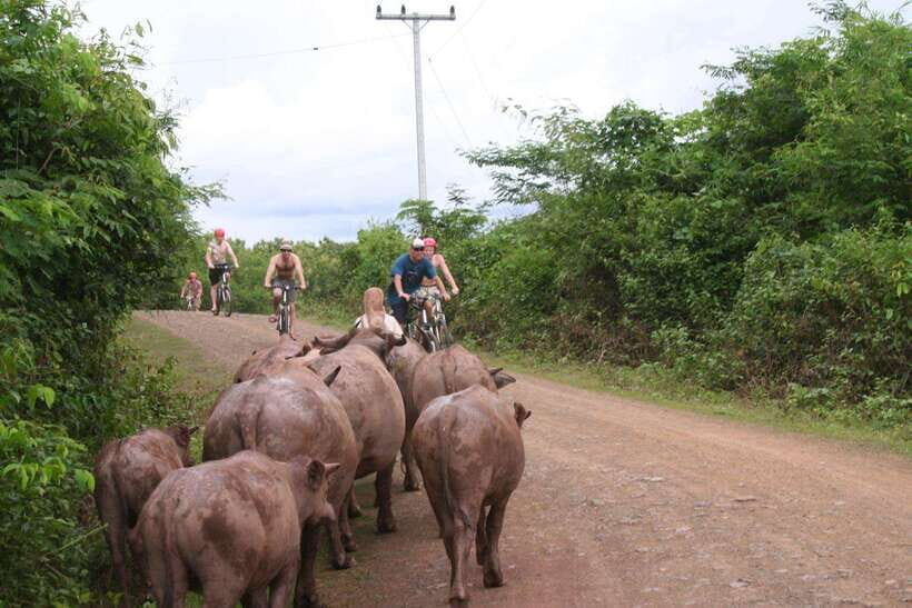 From Luang Prabang: Guided Mountain Bike Tour with Lunch - The Experience & What Travelers Say