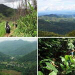 From Luang Prabang: Luang Namtha Hill Tribe Tour - The Practicalities: What to Expect