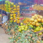 From Manila: Tagaytay Countryside Wonders: A Half-Day Tour - What to Expect on the Tour