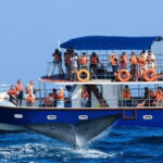 From Mirissa: All Inclusive Whales & Dolphin Watching Tour - Detailed Breakdown of the Experience