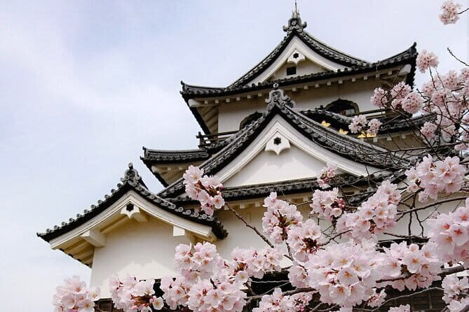 From Nagoya: Castles and Canals in Hikone and Omi Hachiman - Hikone Castle: Japan’s Edo-Era Treasure