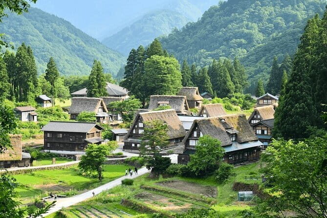 From Nagoya: Hida Takayama & Shirakawa-go Small Group Tour - Who Would Love This Tour?