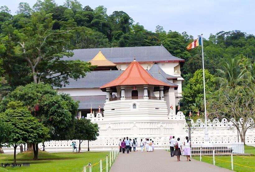 From Negombo: 2-Day Nuwara Eliya & Kandy Tour with Transfer - The Sum Up: Who Will Appreciate This Tour Most?