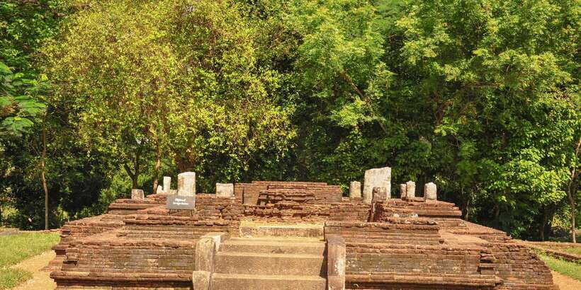 From Negombo: Dambadeniya, Yapahuwa, and Panduwasnuwara Tour - What to Expect From the Experience