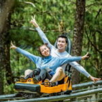 From Nha Trang: Visit Da Lat 1 Day VIP - Discovering Da Lats Architectural Quirks and Scenic Spots