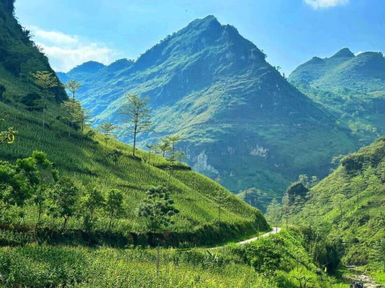 From Ninh Binh: 3-Day 3-Night Ha Giang Loop Motorbike Tour - Why You’ll Love This Tour