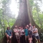 From Ninh Binh : Cuc Phuong National Park Full Day Tour - What We Like (and What to Consider)