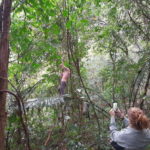 From Ninh Binh: Cuc Phuong National Park Trekking Day Tour - The Highlights and Their Value