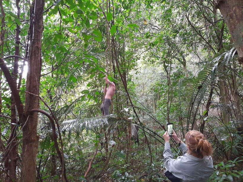 From Ninh Binh: Cuc Phuong National Park Trekking Day Tour - The Highlights and Their Value