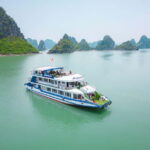 From Ninh Binh: Ha Long Bay 1-Day Trip Ending in Hanoi - What’s Included & What to Consider