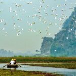 From Ninh Binh: Visit Cuc Phuong National Park - Van Long - What to Expect