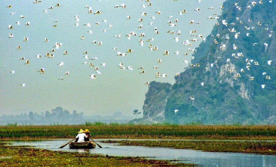 From Ninh Binh: Visit Cuc Phuong National Park - Van Long - What to Expect