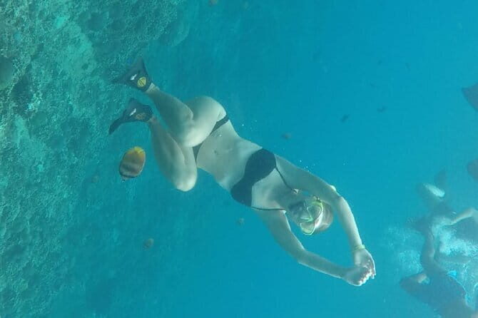 From Nusa Lembongan Manta Snorkeling Trips with Pickup Included - Authentic Highlights from Guest Reviews