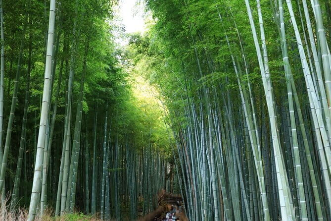 From Osaka: Kyoto Must-see Spots & Nara Park Sightseeing Day Tour - The Pace and Practicalities