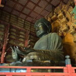 From Osaka: Nara Deer & Kyoto Kiyomizudera Sightseeing Tour - The Cost and Its Value