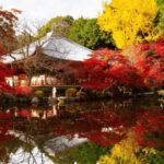 From Osaka: Private Customized Day Tour to Kyoto - Why Choose This Tour?