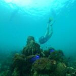 From Phu Quoc: Discover 4 Islands by Speedboat Full Day Tour - May Rut Island — Scenic Beauty and Photography