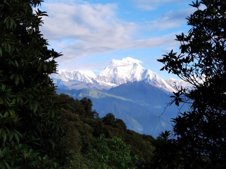 From Pokhara: 5 Day Poon Hill with Natural Hot Spring Trek - The Itinerary: What You’ll Do Each Day