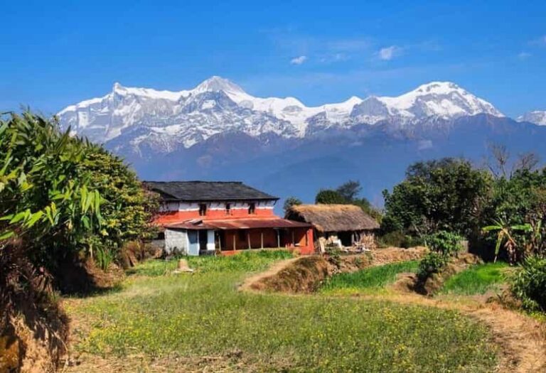 From Pokhara: Annapurna View Day Hike - Natural Beauty and Cultural Highlights