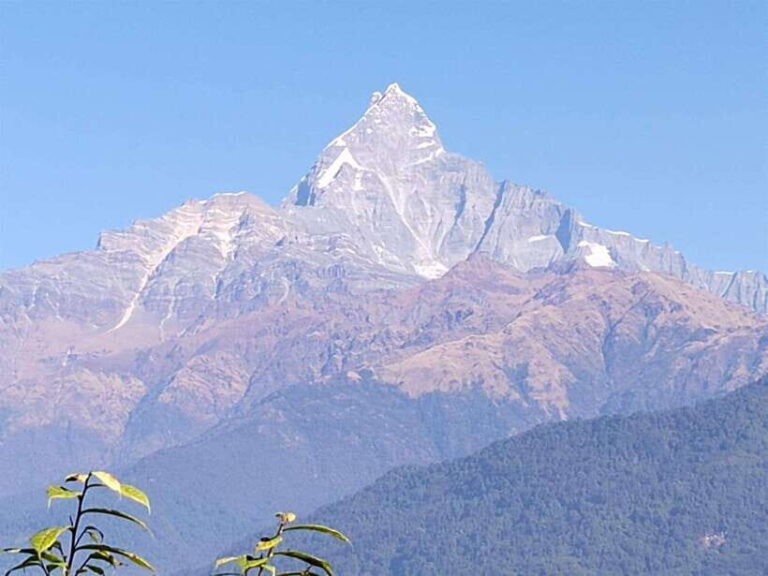 From Pokhara: Australian Camp and Dhampus Hiking Tour - The Details of Your Hiking Day