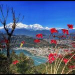 From Pokhara: Guided Day Jungle Hiking Tour with Boat Ride - How the Itinerary Comes Together
