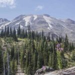 From Portland to Mt. Saint Helen Tour in a Small Group - Exploring the Mt. Saint Helens Tour in Detail