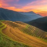 From Sapa: 1-Day Guided Trek to Lao Chai & Ta Van with Lunch - In-Depth Review of the Sapa Guided Trek