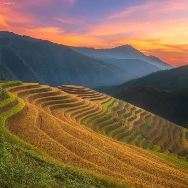 From Sapa: 1-Day Guided Trek to Lao Chai & Ta Van with Lunch - In-Depth Review of the Sapa Guided Trek