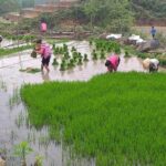 From Sapa: 2 Day Tour Through Villages and Countryside - Who Will Love This Tour?