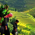 From Sapa: Full-Day Trekking Tour Lao Chai & Ta Van Villages - What’s Included & What to Bring