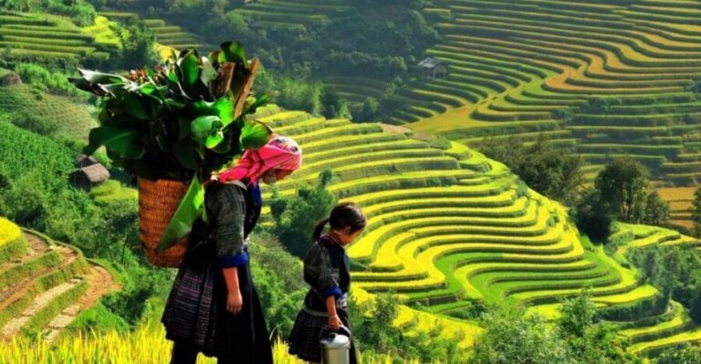 From Sapa: Full-Day Trekking Tour Lao Chai & Ta Van Villages - What’s Included & What to Bring