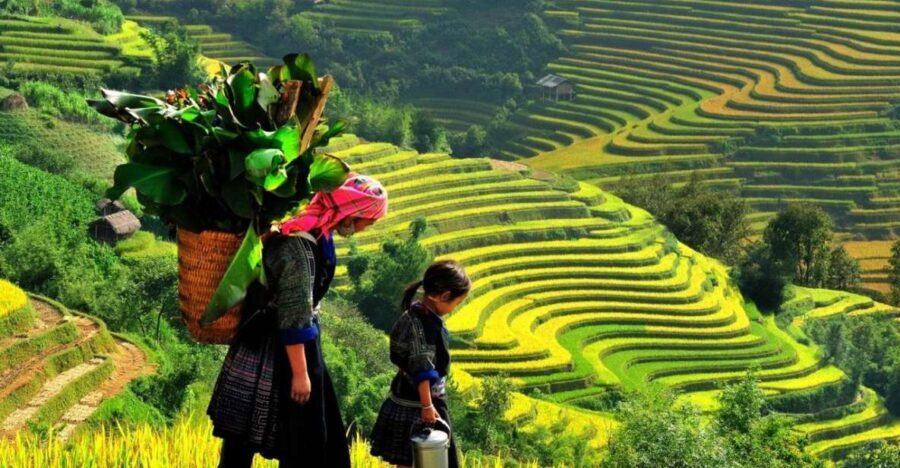 From Sapa: Full-Day Trekking Tour Lao Chai & Ta Van Villages - What’s Included & What to Bring