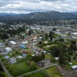 From Seattle Hoh rain forest and Olympic National Park Highlight - Honest Look at Pros and Cons