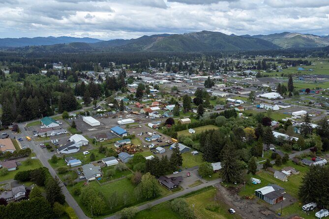 From Seattle Hoh rain forest and Olympic National Park Highlight - Honest Look at Pros and Cons