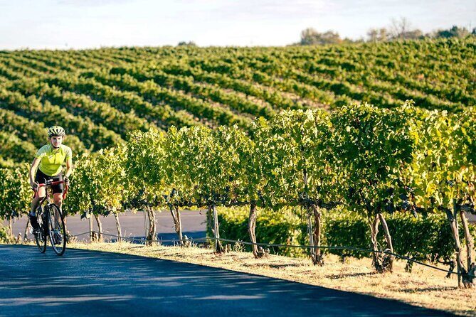 From Seattle Wine Tasting, Vineyards in Eastern WA - Analyzing the Value